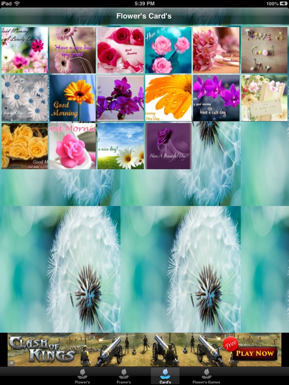 Flowers Photo Frames Simple Editor by Kok Seng Wong