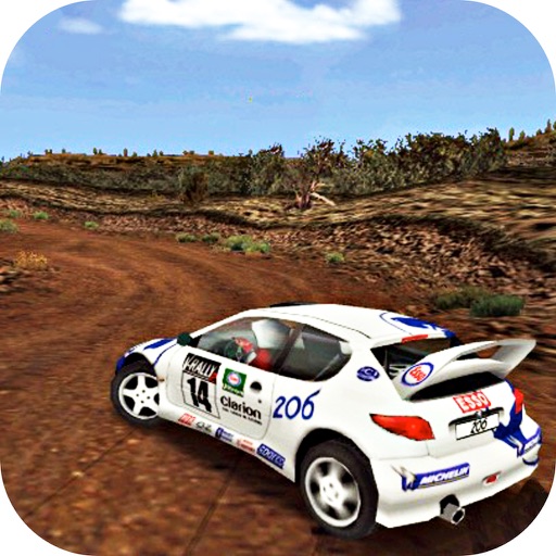 Mega Rally by Benjamin Erikson