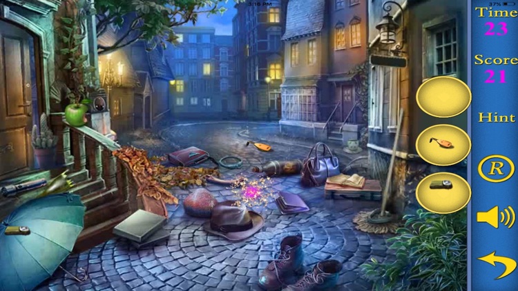 Hidden Objects Of A Wrong Place Wrong Time by Rohit Aghera