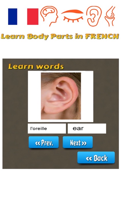 Learn Body Parts in French by Murat Yilmaz