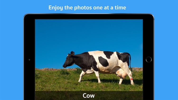 Photo album creator by Kidstatic Apps ApS