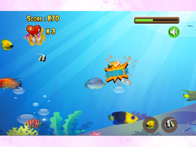 What Do Fish Eat Small