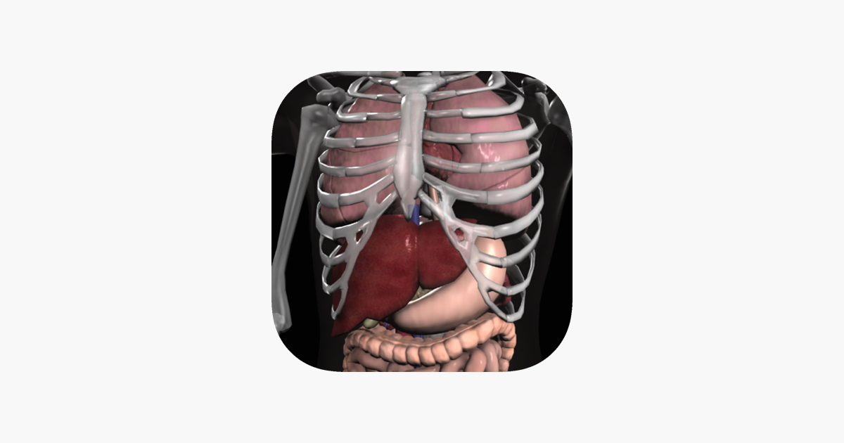 ‎Anatomy 3D: Organs on the App Store