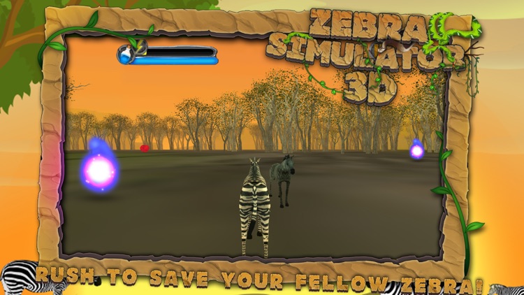 Zebra Wildlife Simulator 3D by Umair Javed