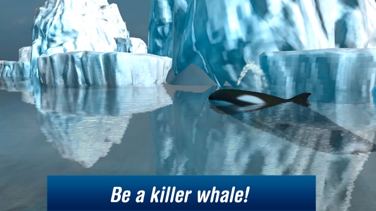 Killer Whale: Orca Simulator 3D Free by Games Banner Network