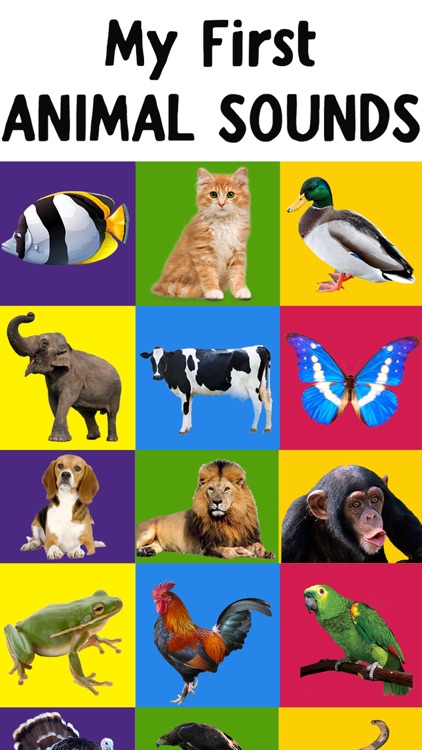 My First Words - Animals Sounds by bhaumik harshadray mehta