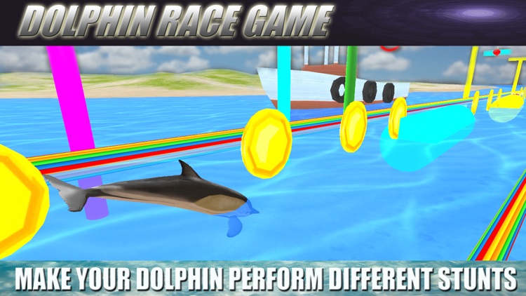 Dolphin Race Game by m saleem akhter
