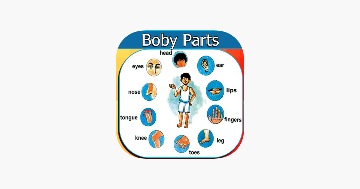 ‎Human Body Parts on the App Store