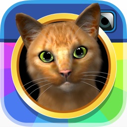 Ultimate Cat Simulator by Gluten Free Games