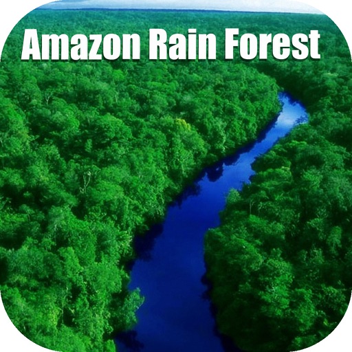 Amazon Rain Forest Tourist Travel Guide by Shailaja bavikadi