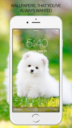 Cute Puppy Wallpapers For Ipad