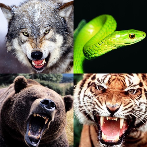 Animal Sounds Pro! by Sound Effects