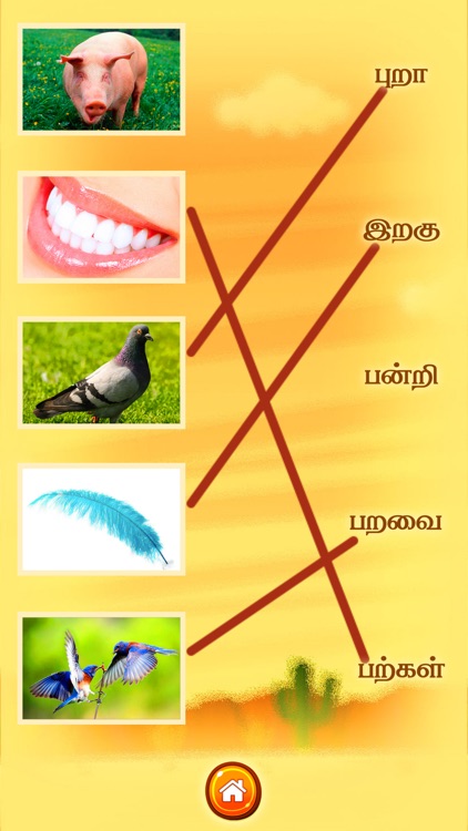 Tamil Arichuvadi - HD by Magicbox Animation Private limited
