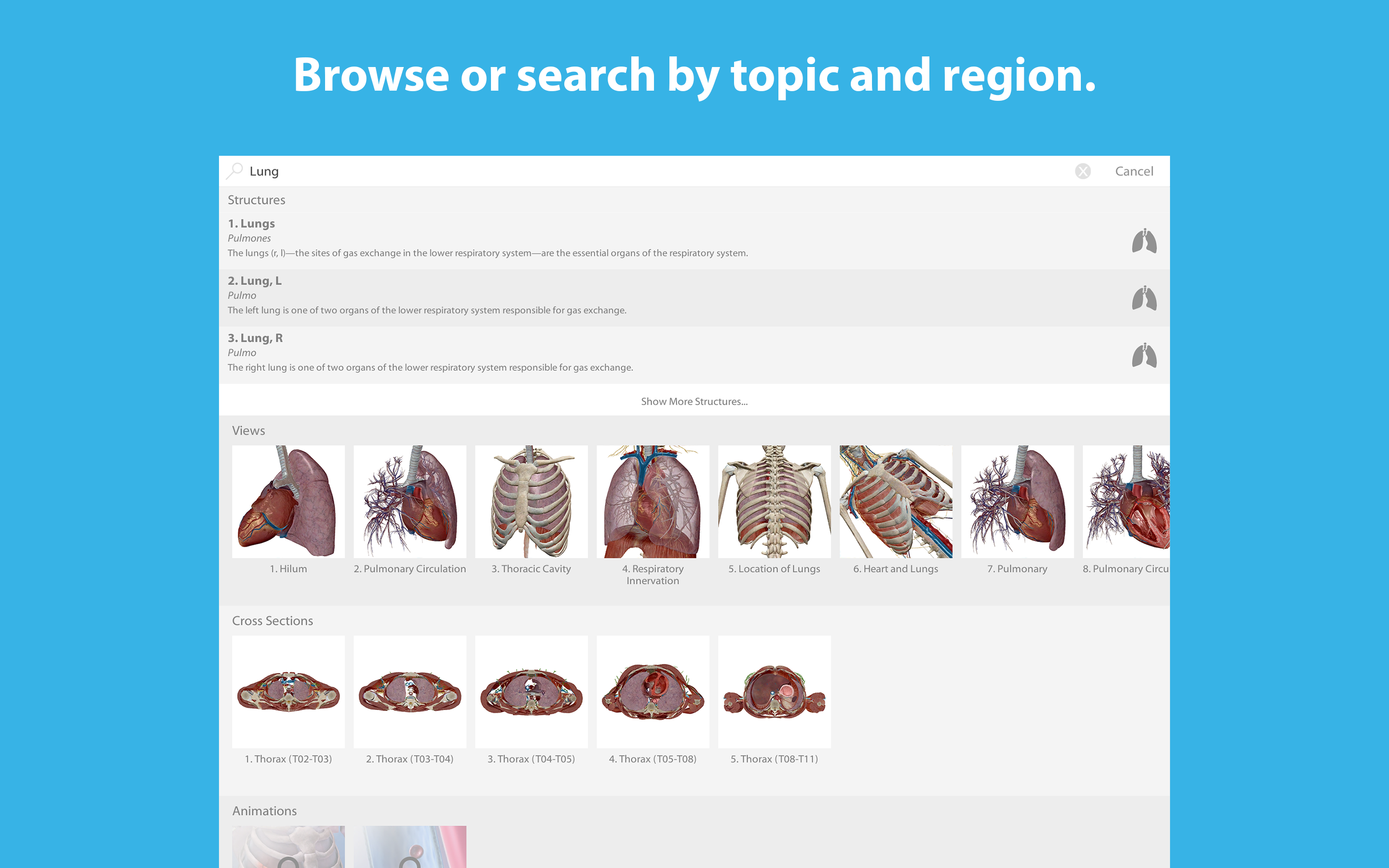 3D Human Anatomy Atlas 2025 - Reviews, Revenue and Downloads - Apple ...