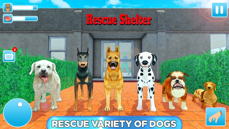 Animal Shelter Dog Rescue Game by Faiza Dilawar Dilawar Hussain