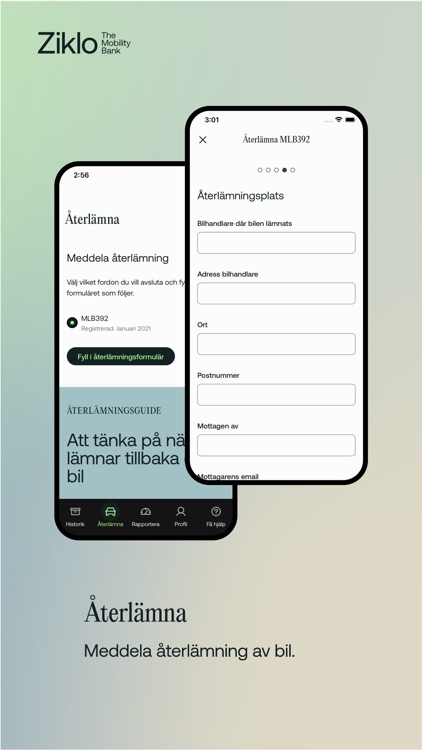 Ziklo Driver by Ziklo Bank AB