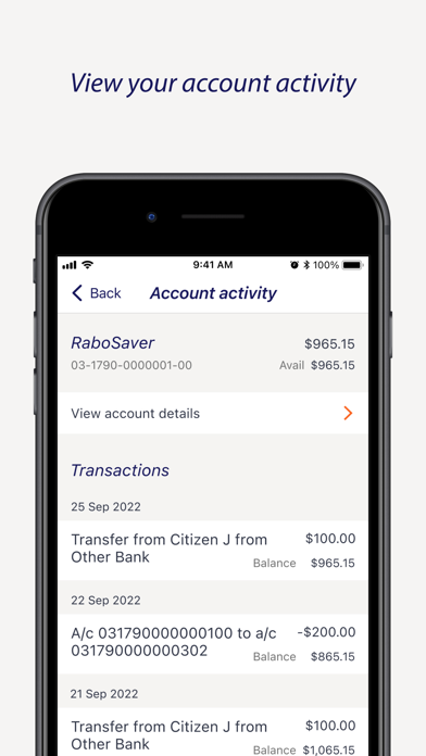 Rabobank Online Savings NZ for iPhone - Free App Download