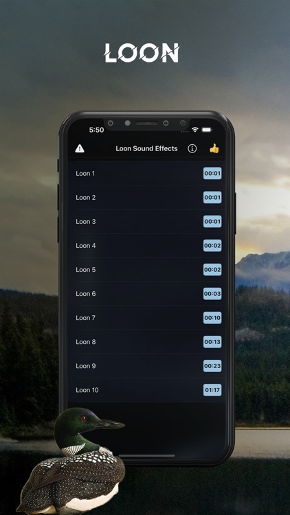 Loon Sound Effects by Scott Dawson