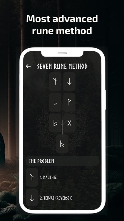 Way of The Runes: Norse Rune by Elvis Baltais