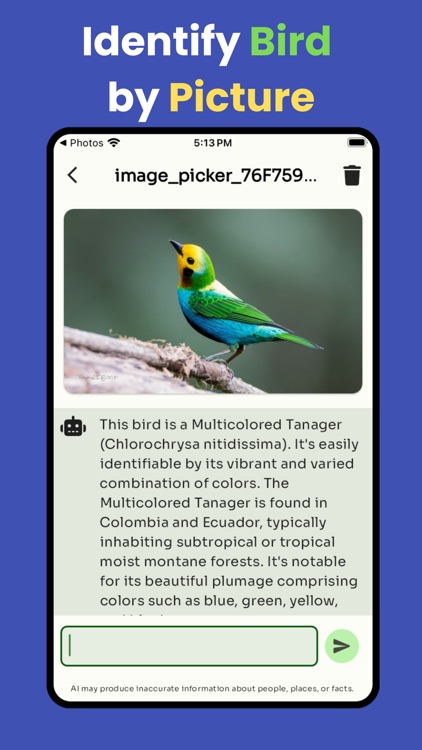 Bird identifier by picture by Harsh Vardhan