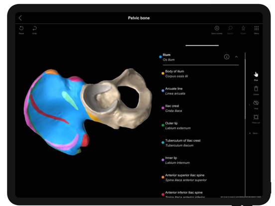 Télécharger Pirogov Anatomy pour iPhone / iPad sur l'App Store (Medecine)
