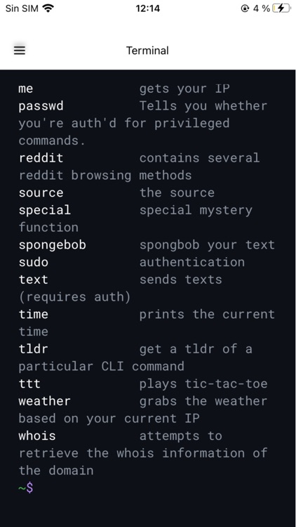 Terminal Emulator app by Leticia Vila