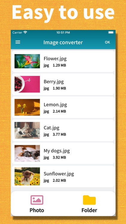 Image converter - Batch & Easy by Yoshinobu Ikeda