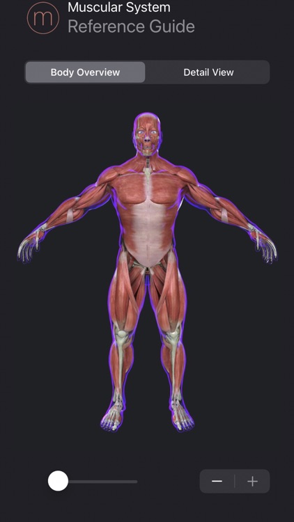 Human Anatomy Study Guide By Ryan Bittorf human-anatomy-study-guide-by-ryan-bittorf