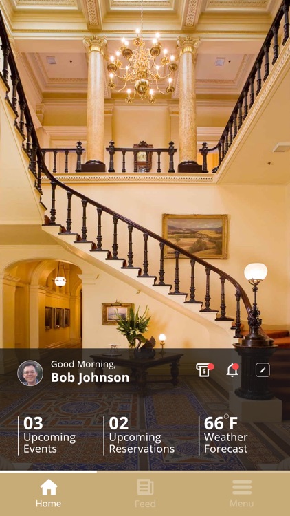 Cycnus by Melbourne Club