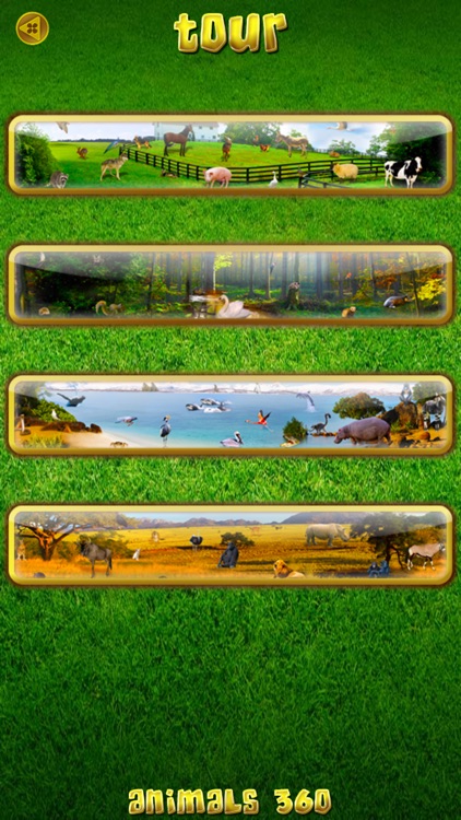 Animals 360 by Alessandro Trebbi