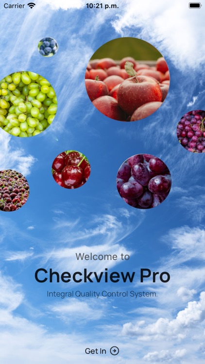 Checkview Pro by Felipe Vargas