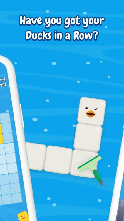 Ducks in a Row by Arash Daneshvar