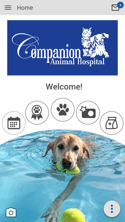 Companion Animal Hospital FL by Avg Intermediate Holdings LLC