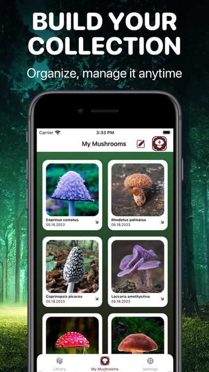 Mushroom Identifier App: Fungi by Uladzislau Yanushka