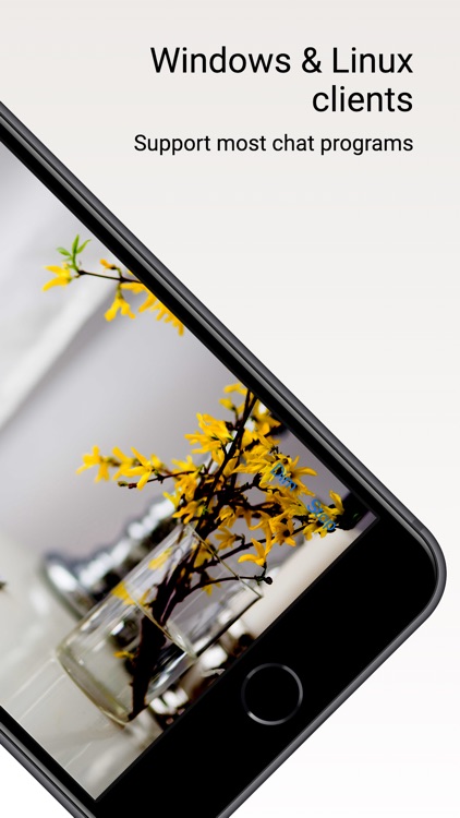 DroidCam (Business Edition) by DEV47APPS