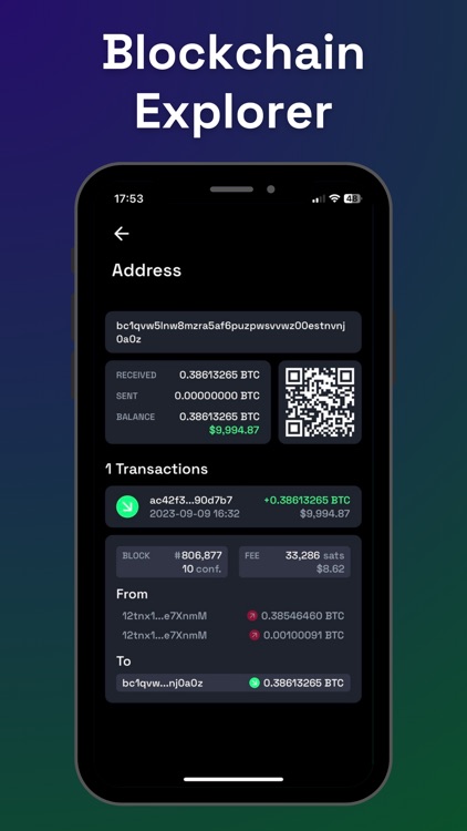 Bitcoin Tracker: Price & Stats by Niklas Geschwandtner