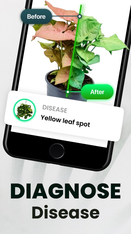 Plant Identifier & Scanner by Benjamin Green