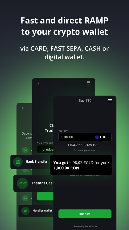 Tradesilvania Ramp by Tradesilvania