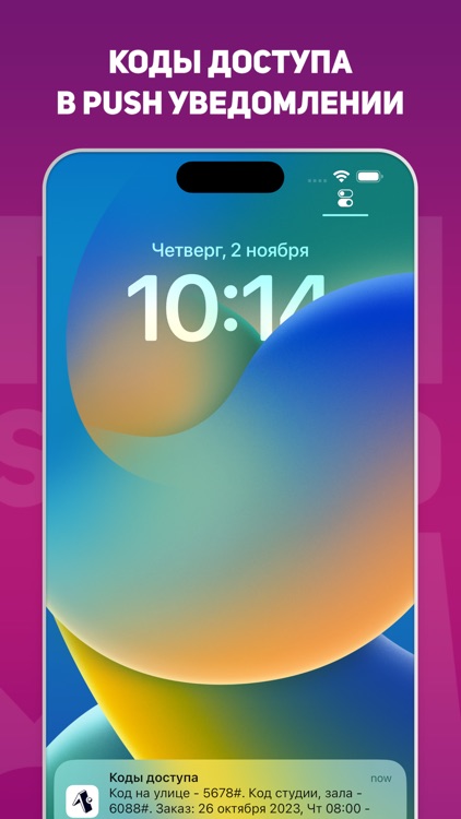 Motion Rent Studio by Evgeny Generalov