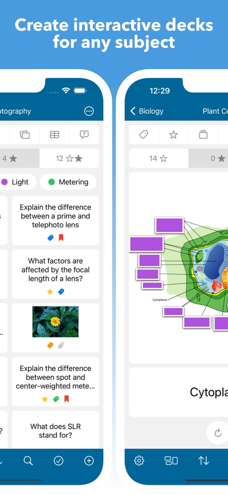 Mighty Flashcards - Education App | MWM
