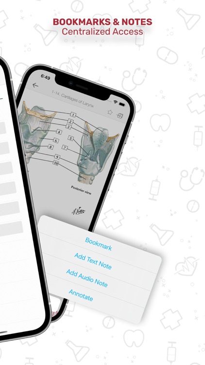 Netters Anatomy Flash Cards by Skyscape Medpresso Inc