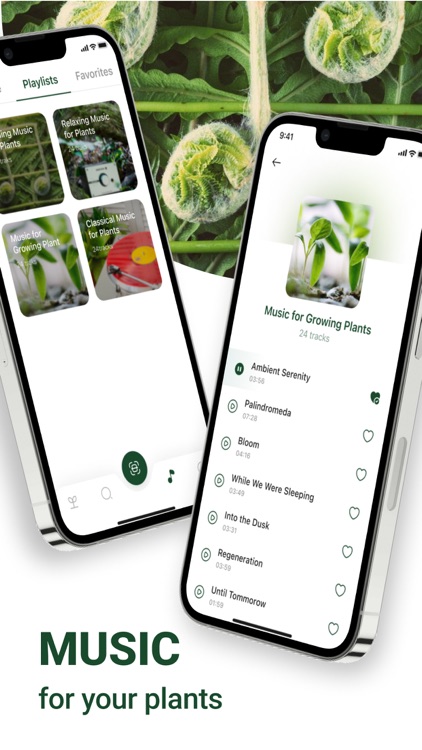 Plant Identification & Scanner by WELLCODE WEB DEVELOPMENT LTD