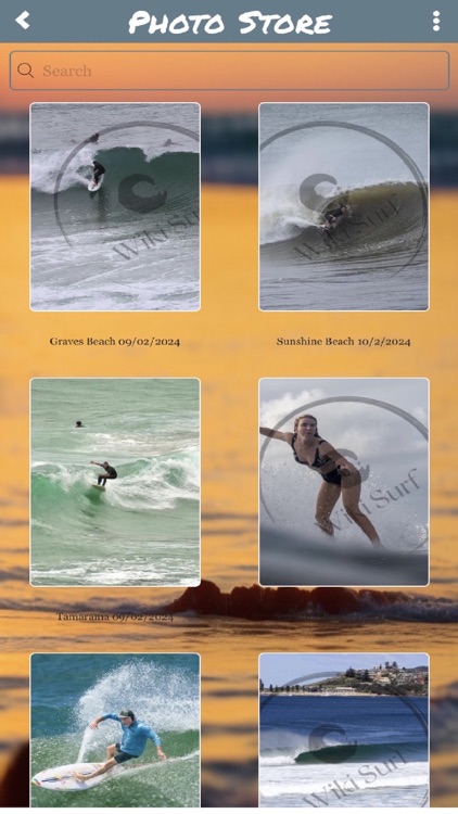 Wiki Surf by blake langelaar