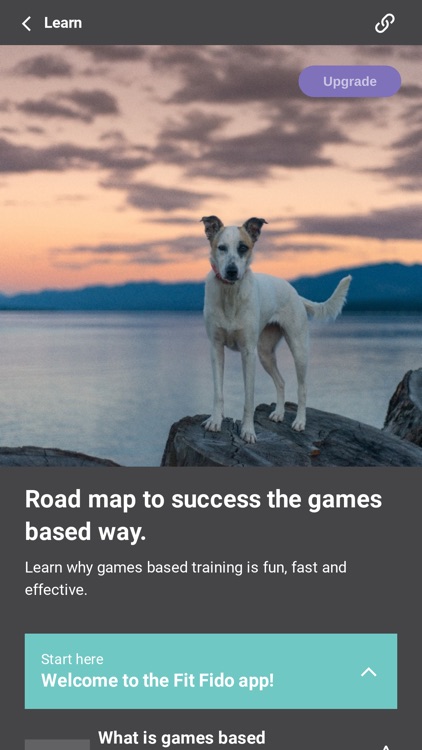 Fit Fido Dog Training by Kristen Nicholson