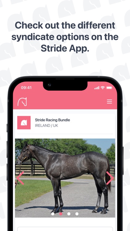 Stride - Horse Racing by Stride Racing