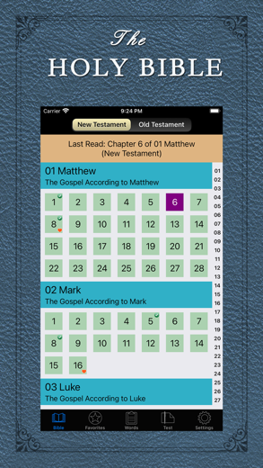 holy bible NIV bible study app for iPhone - APP DOWNLOAD