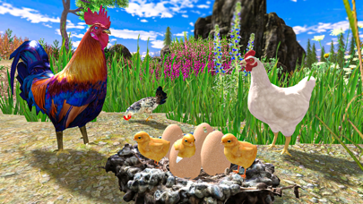 Wild Rooster Chicken Simulator for iPhone - Free App Download