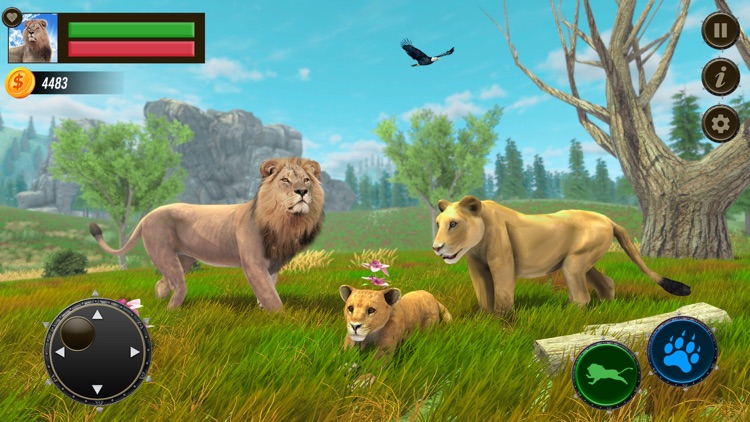Safari Lion Simulator Game 3D by shahroz shahzad butt