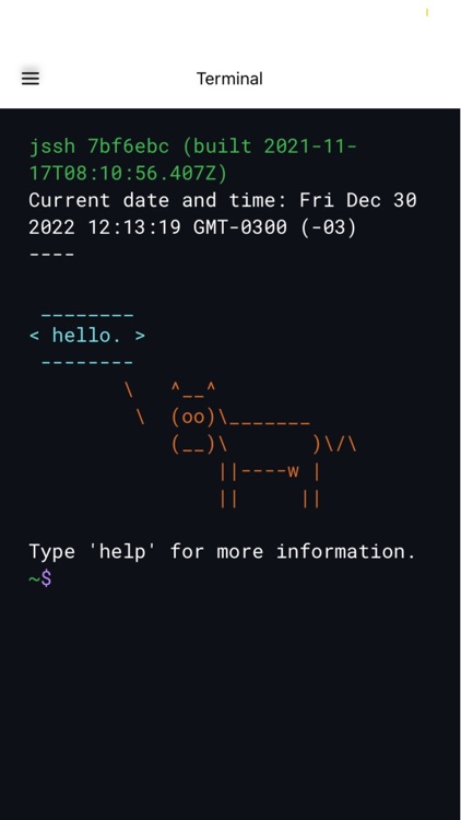 Terminal Emulator app by Leticia Vila
