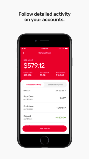 Transact eAccounts for iPhone - APP DOWNLOAD